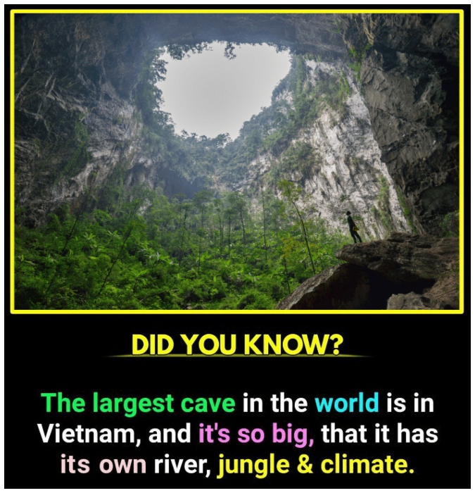 The Web's Most Mind-Blowing Facts For Every Aspect of Your Life ...